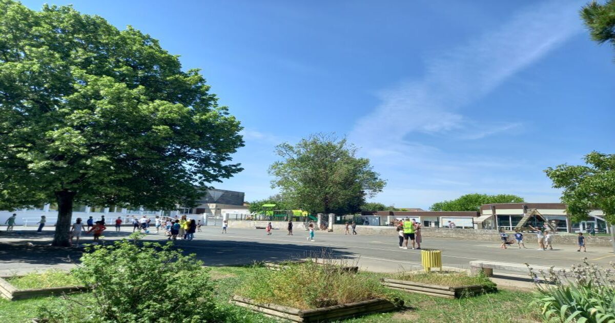 Ecoles - Site officiel de la Mairie de Saint-Xandre